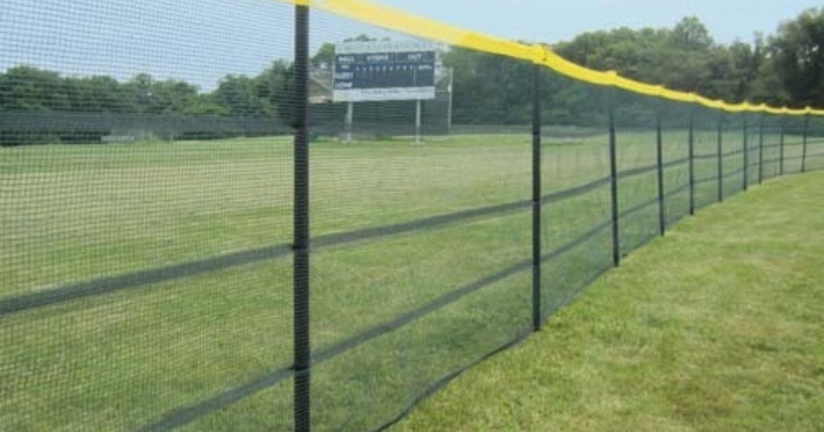 Plan a School Field Day | CoverSports