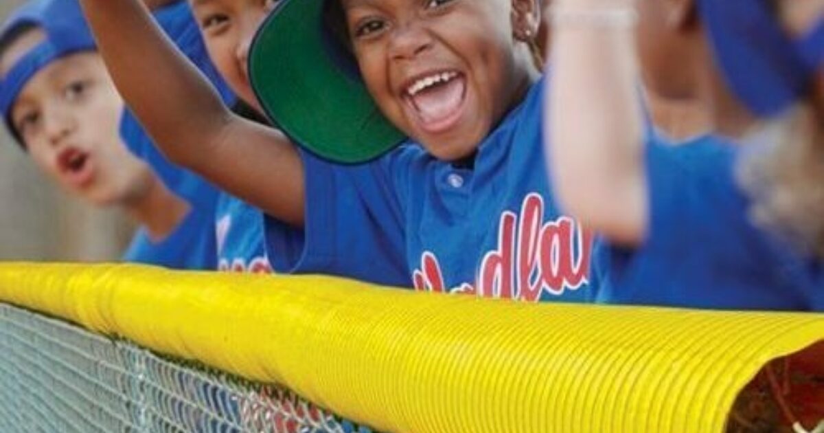 Chain Link Fence Topper | Poly Cap | CoverSports