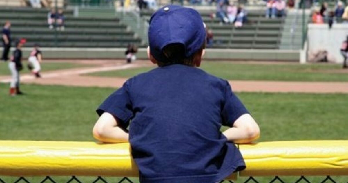 Foam Fence Padding | Baseball and Softball | CoverSports