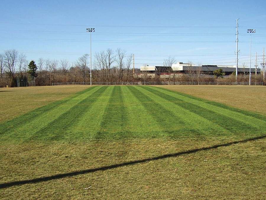 Turf Covers and Turf Blankets for Winter | Protect Your… | CoverSports