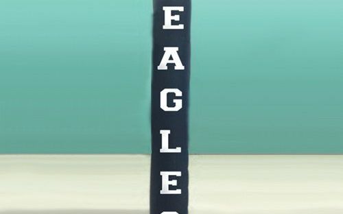 Indoor Gym Wall Padding & Mats | CoverSports