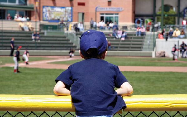 Fence Toppers & Capping for Ballparks | CoverSports