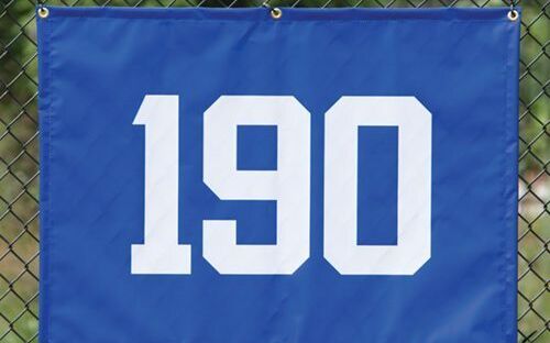 Custom Indoor and Outdoor Sports Banners and Flags | CoverSports