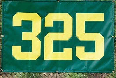 Baseball Field Distance Markers | Outfield Distance… | CoverSports