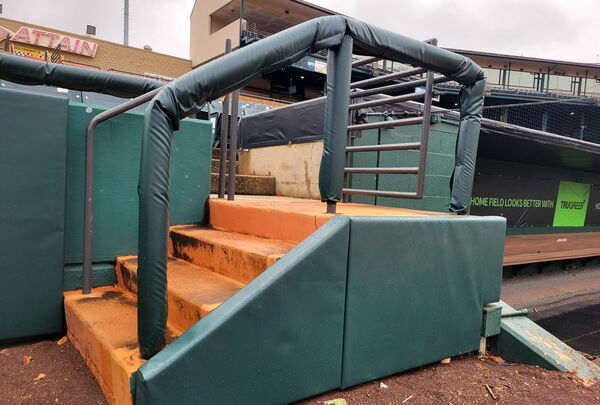 Custom Fence Rail and Post Padding for Baseball | CoverSports