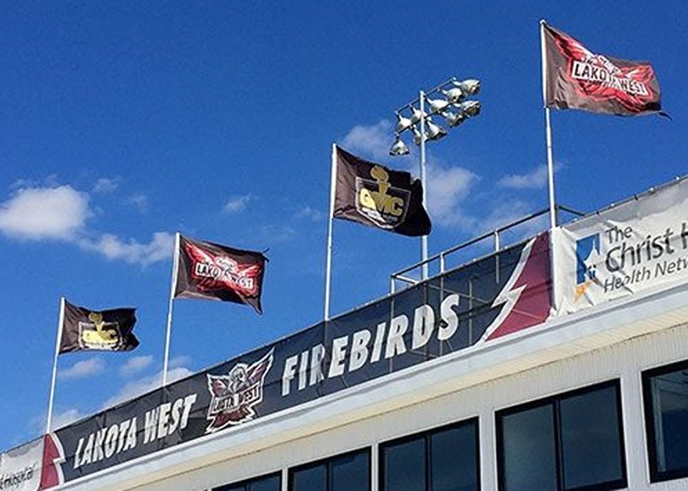 Sports Flags and Pennants: Hand-Sewn Nylon Team Flags | CoverSports