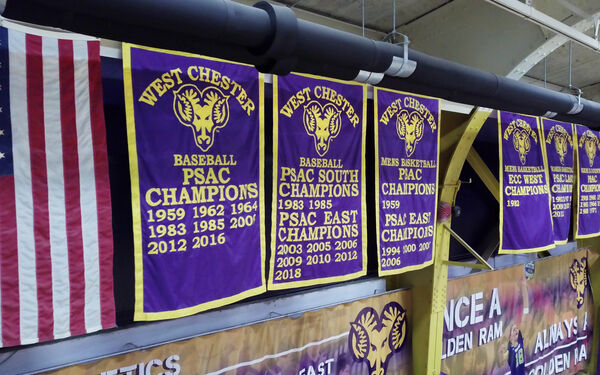 Custom Indoor and Outdoor Sports Banners and Flags | CoverSports