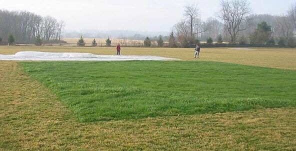 FieldSaver Winter Turf Blankets / Growth Covers | CoverSports